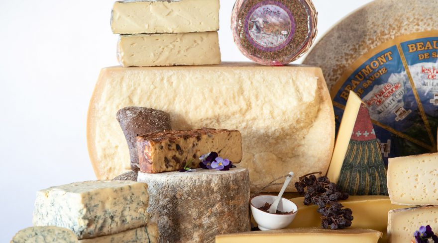 Our range - MAAZ Cheese