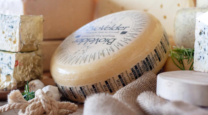 Our range - MAAZ Cheese