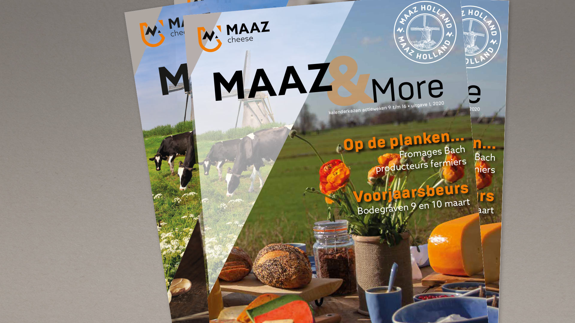 MAAZ & More - MAAZ Cheese