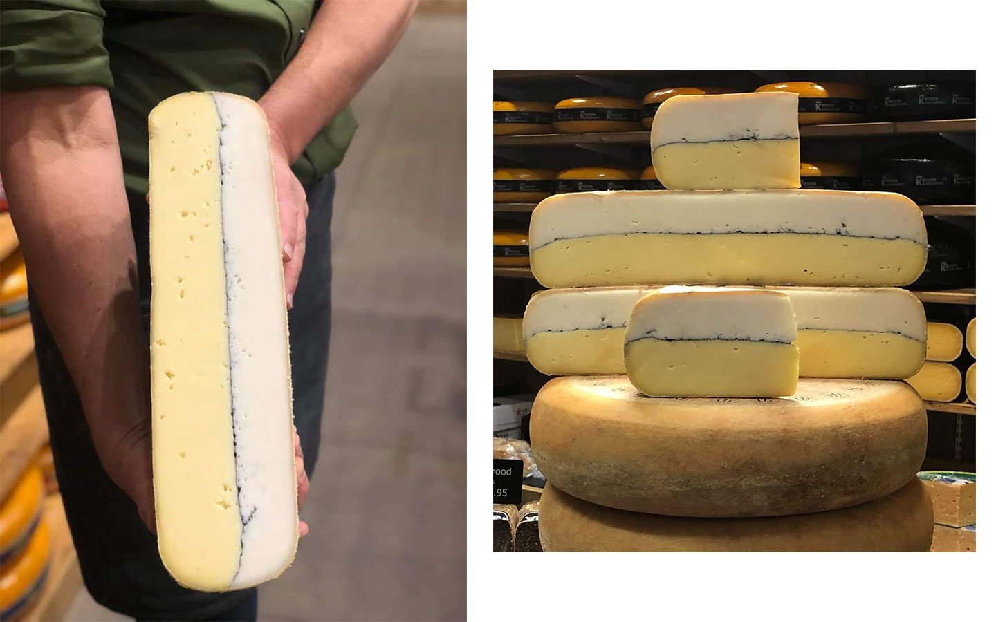 Holy Cow & Glorious Goat - MAAZ Cheese